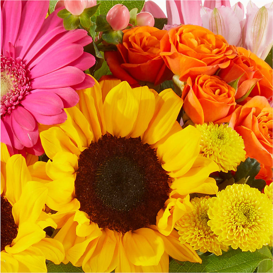 Sioux City Florist with Same-Day Delivery | Flowerland–Flowerland
